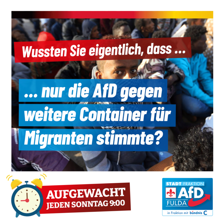 Gegen die ungezügelte Migration helfen nicht 20 neue Container, sondern ...